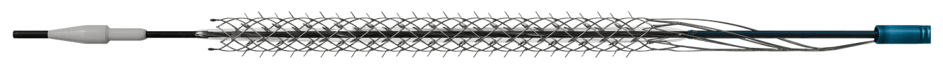 Reflow Medical Announces 12-Month Results from DEEPER REVEAL Trial ...